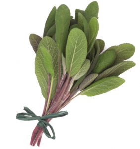 Herb Garden Guide - Countryside